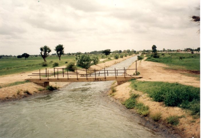Kano ： Tiga Dam (1)