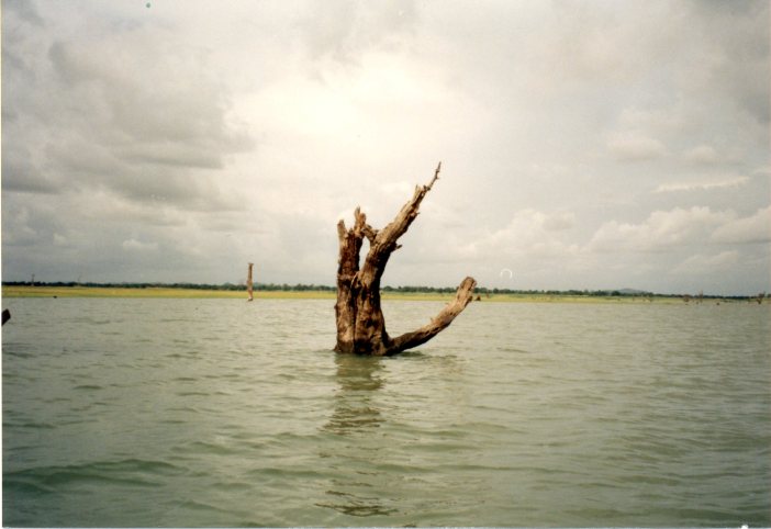 Kano ： Tiga Dam (2)